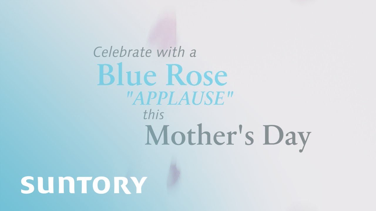 Celebrate with a Blue Rose ("APPLAUSE") this Mother's Day - YouTube