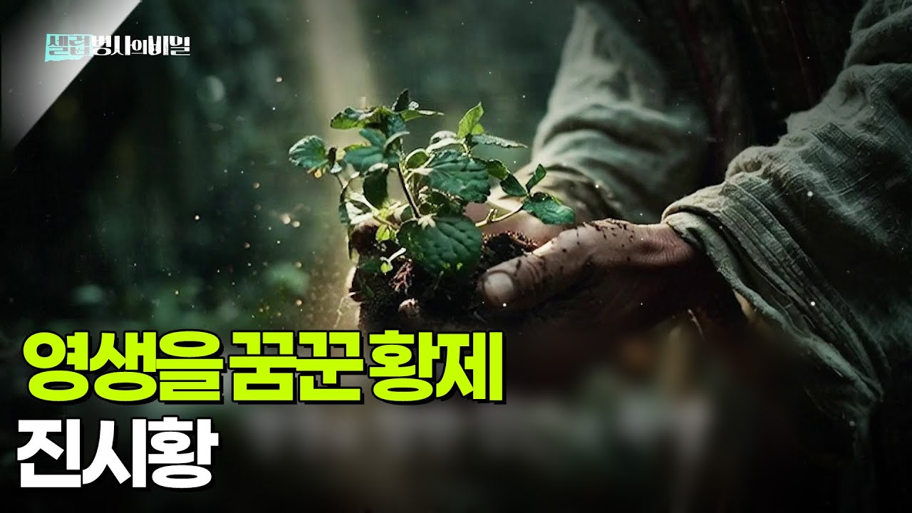 영생을 꿈꾼 황제, 진시황 [셀럽병사의 비밀] | KBS 250930 방송 - YouTube