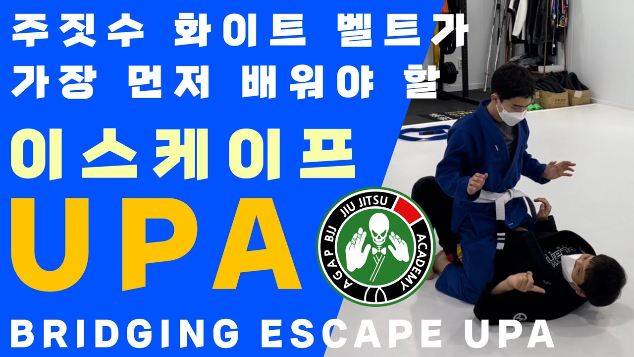[주짓수 테크닉] 주짓수 화이트밸트가 가장 먼저 배워야할 Mount escape UPA (BRIDGING ESCAPE UPA ...