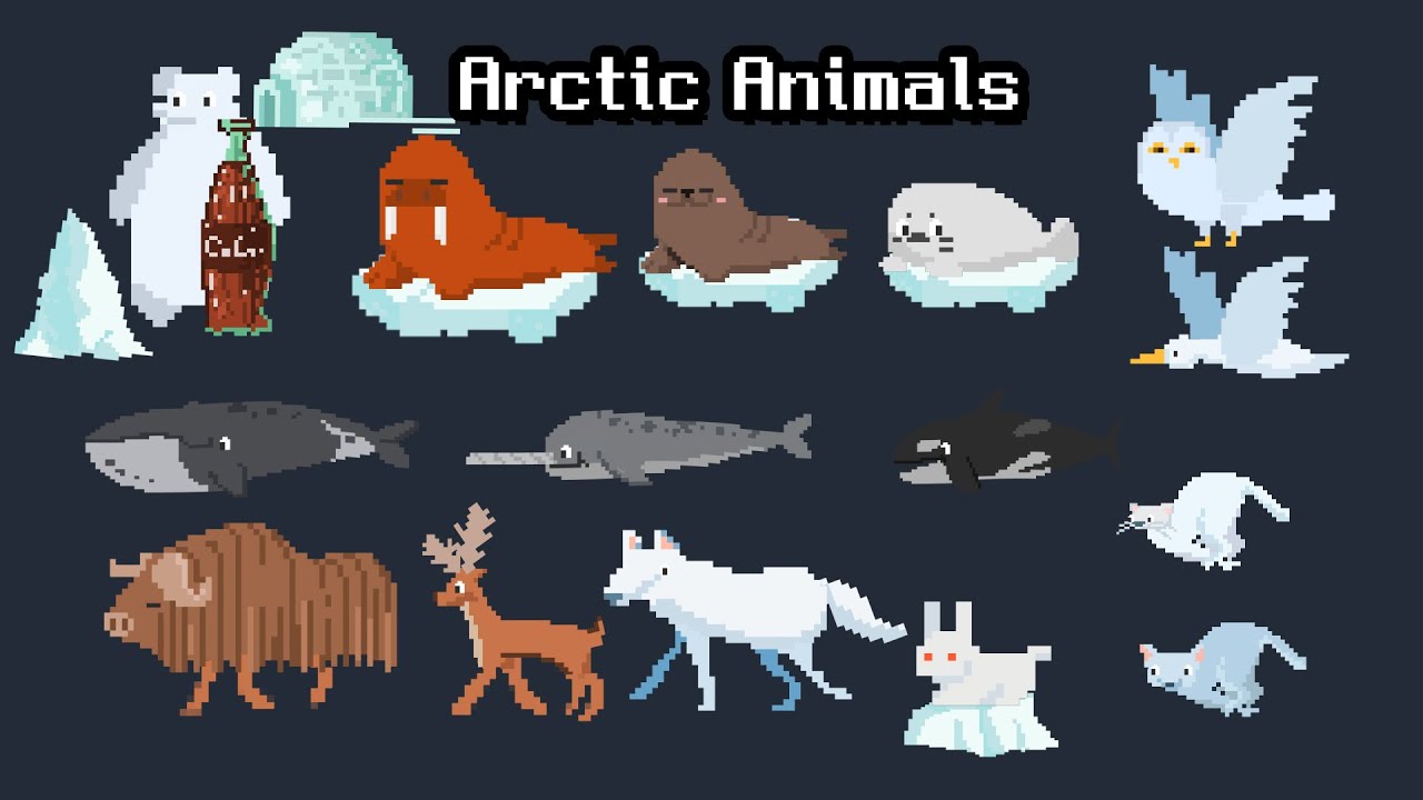 [Eng]Arctic animal | 8bit - YouTube