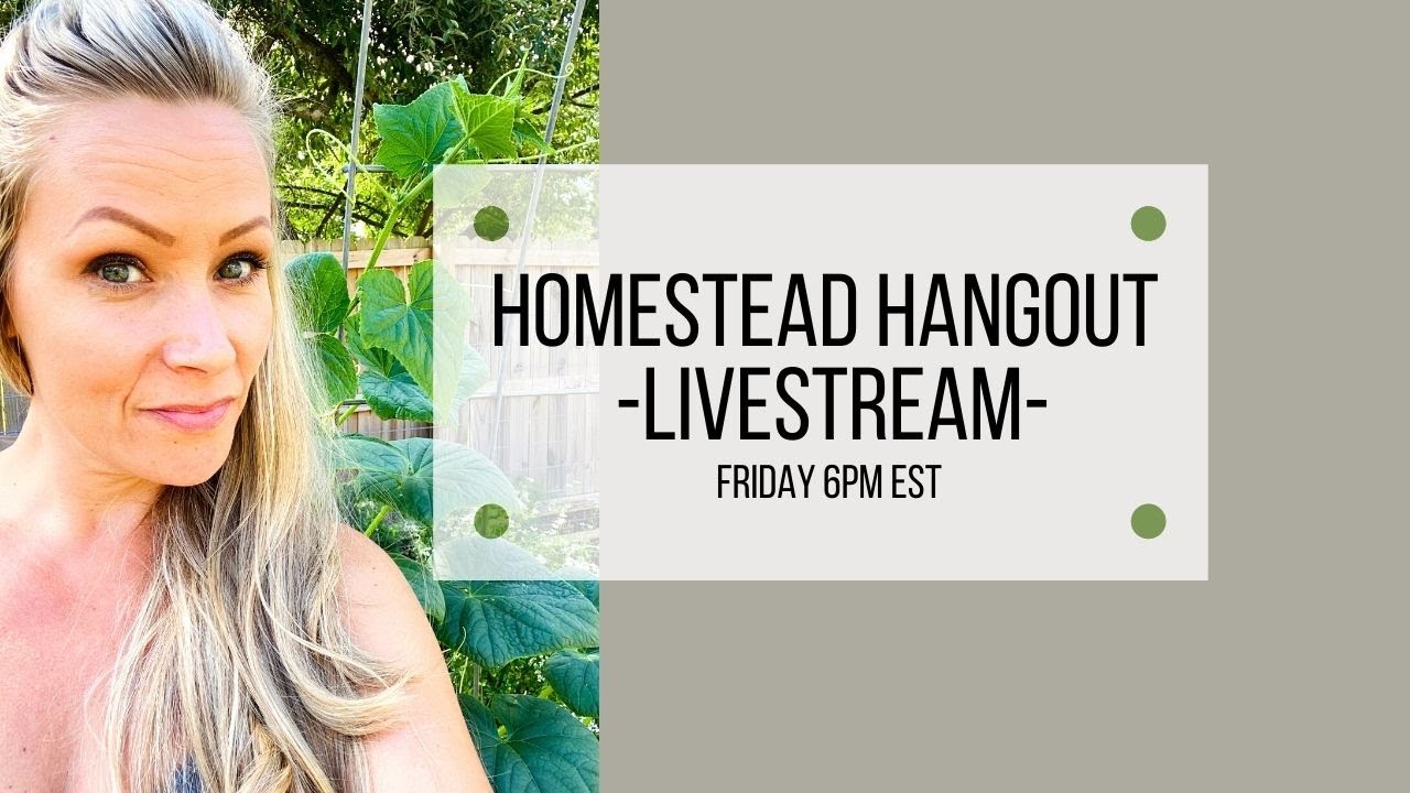 Drinks with Tina! || LIVESTREAM || July Homestead Hangout! - YouTube
