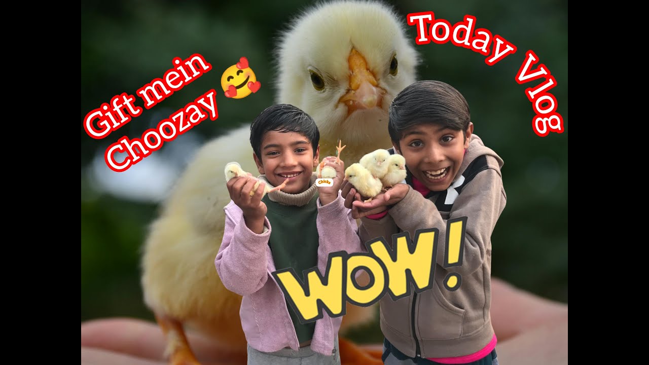 CHOOZAY HEE CHOOZAY GIFT MEIN - YouTube