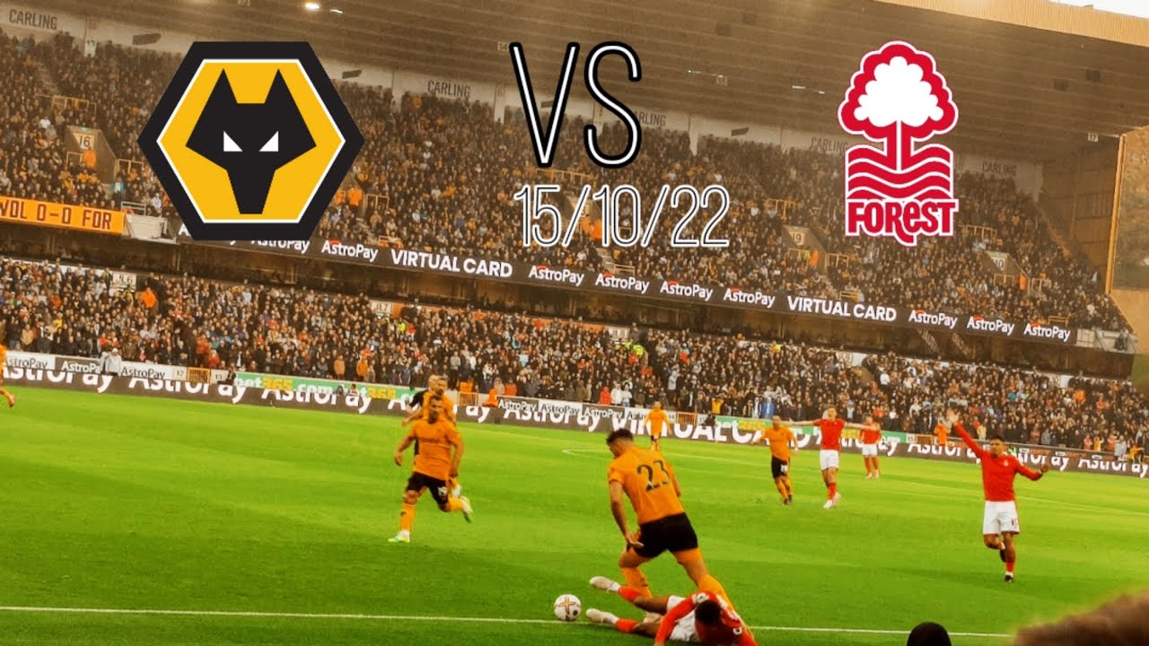Wolves VS Nottingham Forest | MATCH DAY VLOG | Neves and Jose Sa help ...