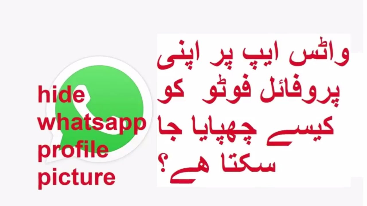 How To Hide Your WhatsApp Profile Picture YouTube how-to-hide-your-whatsapp-profile-picture-youtube