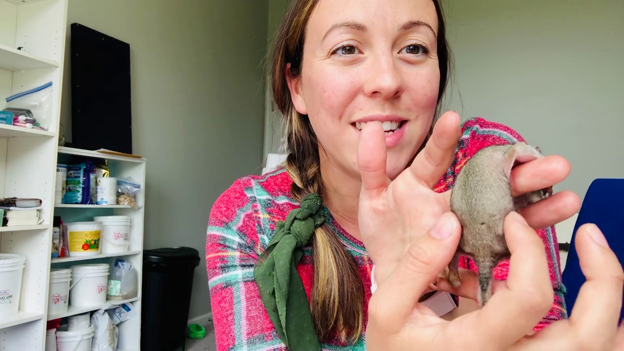 Hannah Feder's Instagram, Twitter & Facebook on IDCrawl