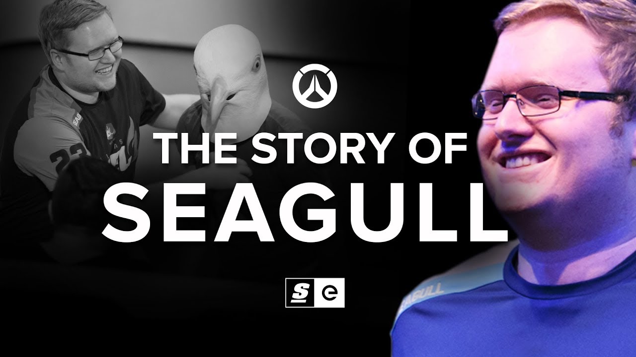 The Story of Seagull - YouTube