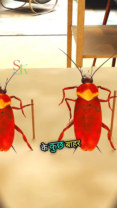 How Cockroach Spray Kills Cockroaches.(3d- animation)#shorts#trending ...
