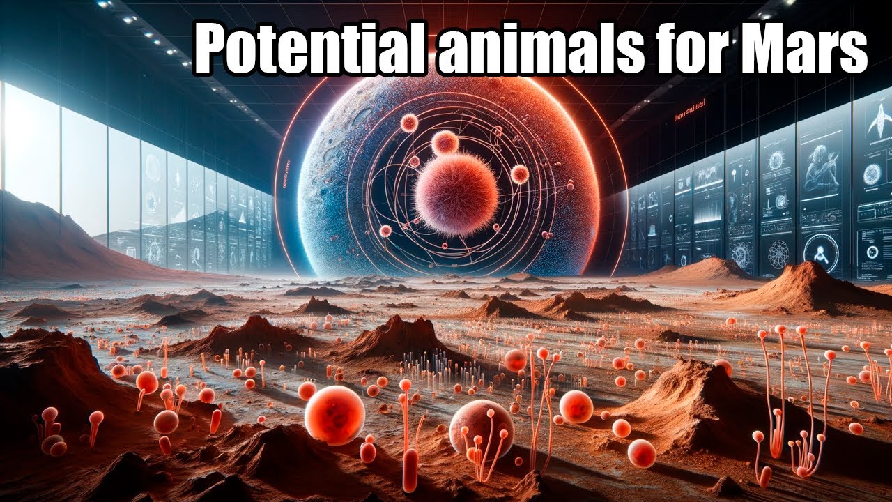 What kind of animals could live on Mars? - YouTube