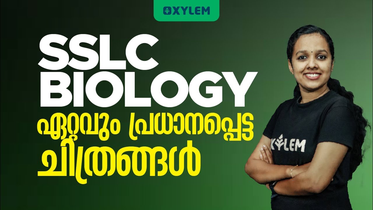 SSLC Biology - ഏറ്റവും പ്രധാനപ്പെട്ട ചിത്രങ്ങൾ | Xylem SSLC - YouTube