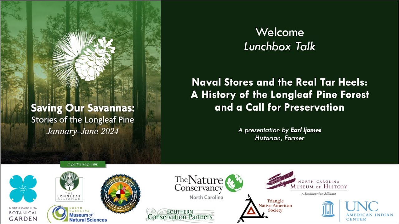 Naval Stores and the Real Tar Heels: A History of the Longleaf Forest ...