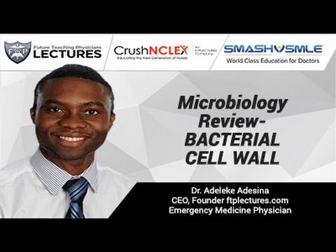Microbiology Review- BACTERIAL CELL WALL - YouTube