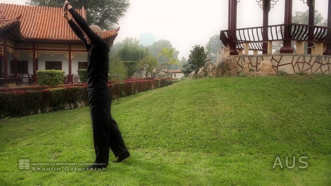 5. Bewegung Shaolin Yi Jin Jing Qi Gong - Shaolin Österreich - YouTube
