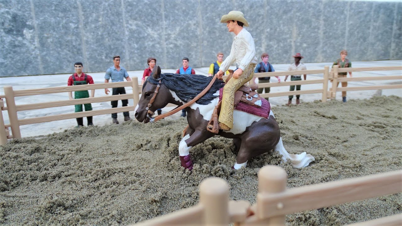 Sliding Stop/Horse sliding/Working COW Horse/ Toros/Calf/Horses - YouTube