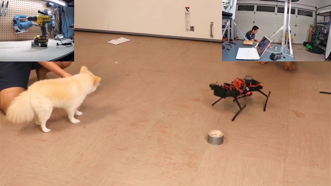 Michael Reeves and Toast Test Their Robot Dog - YouTube