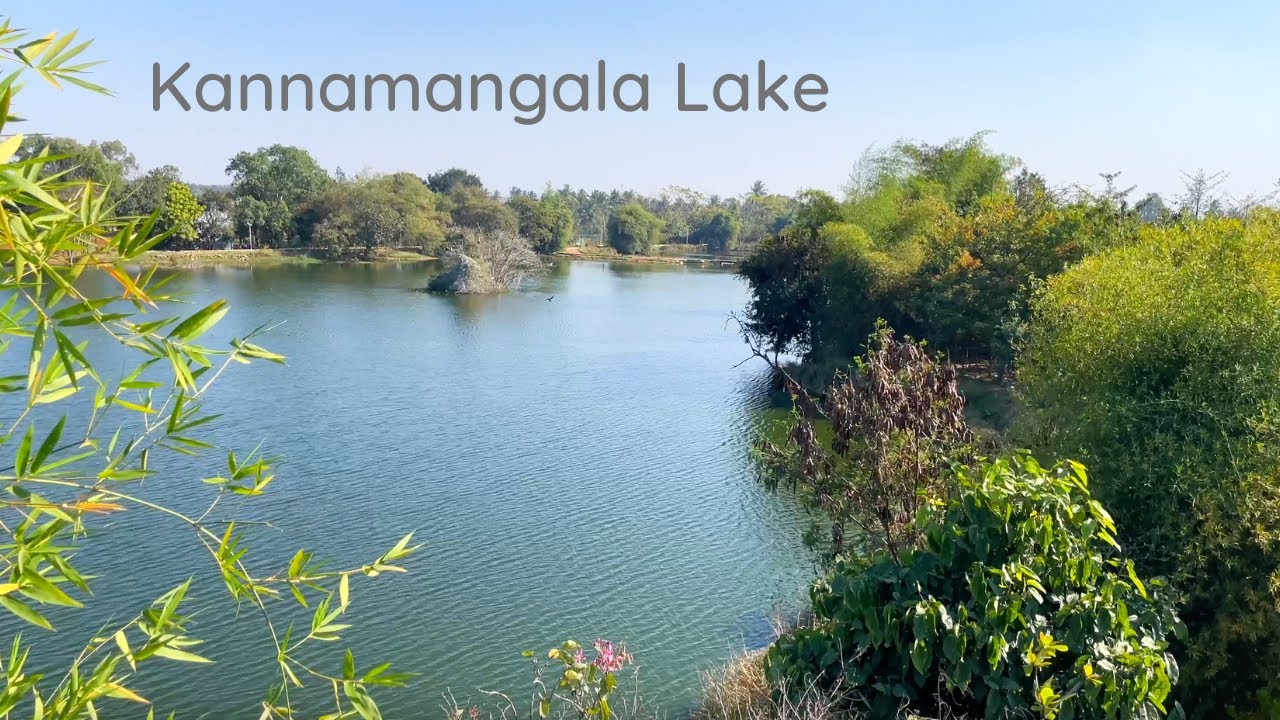 Exploring the Serene Beauty of Kannamangala Lake | A Virtual Tour of ...