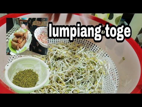 HOMEMADE LUMPIA NA TOGE