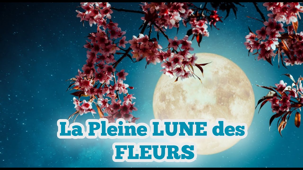 🌕 La pleine Lune des Fleurs (en Scorpion) 05.05.2023 - YouTube