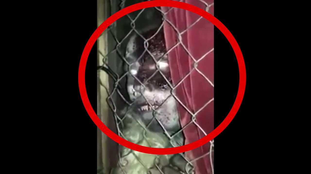 Videos So Frightening You Will Not Know Left from Right - YouTube