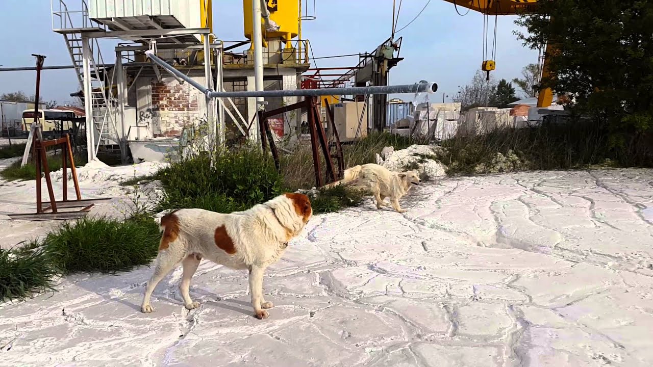 Η Χιονα και η Λόλα - YouTube