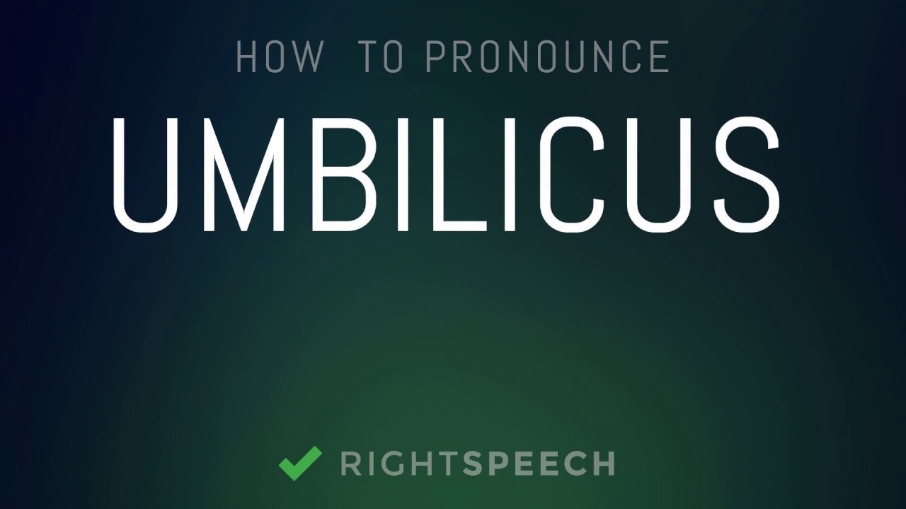 Umbilicus - How to pronounce Umbilicus - YouTube