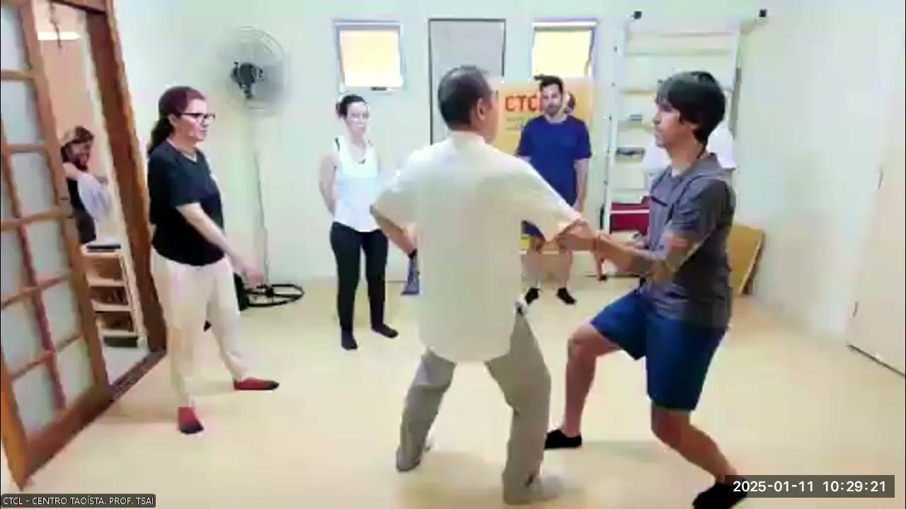 CTCL - Prof. Tsai explica o Tai Chi na prática com Tui Shou (Pushing Hands). - YouTube