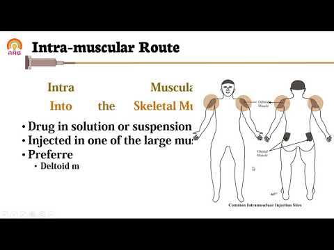 Injection routes of administration of drugs - YouTube