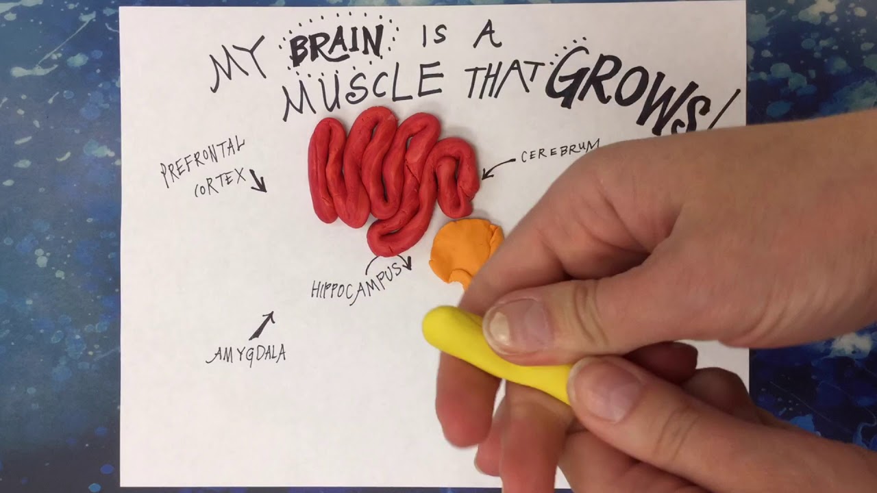 My Brain is a Muscle that Grows - YouTube