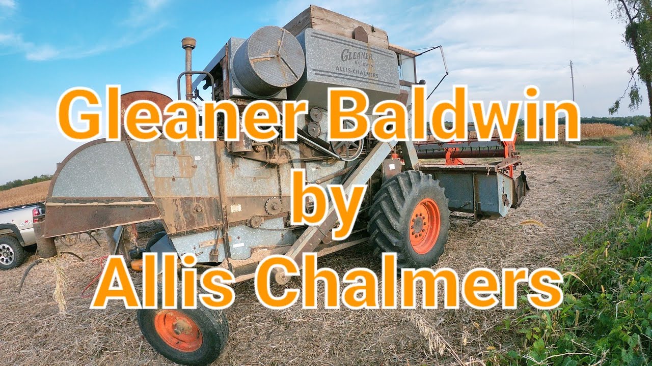 1967 Gleaner C II, thrashing 65+ B.P.A. soybeans. - YouTube