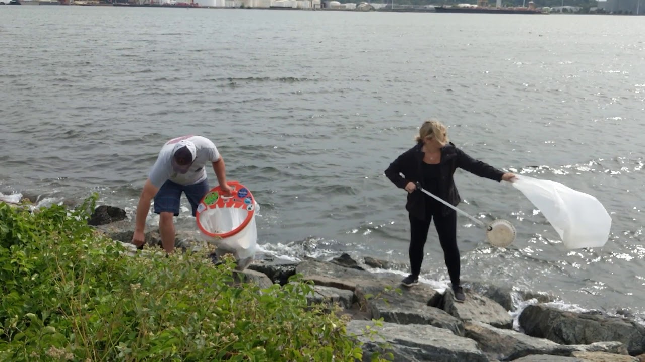 Windy Day at Long Wharf Picking up Trash - YouTube