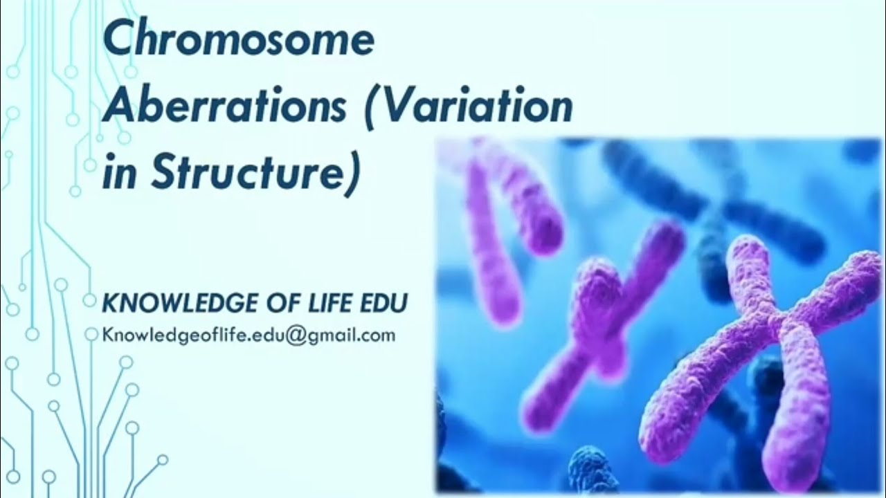 Chromosomal Aberrations| Deletion|Duplication|Inversion|Translocation ...