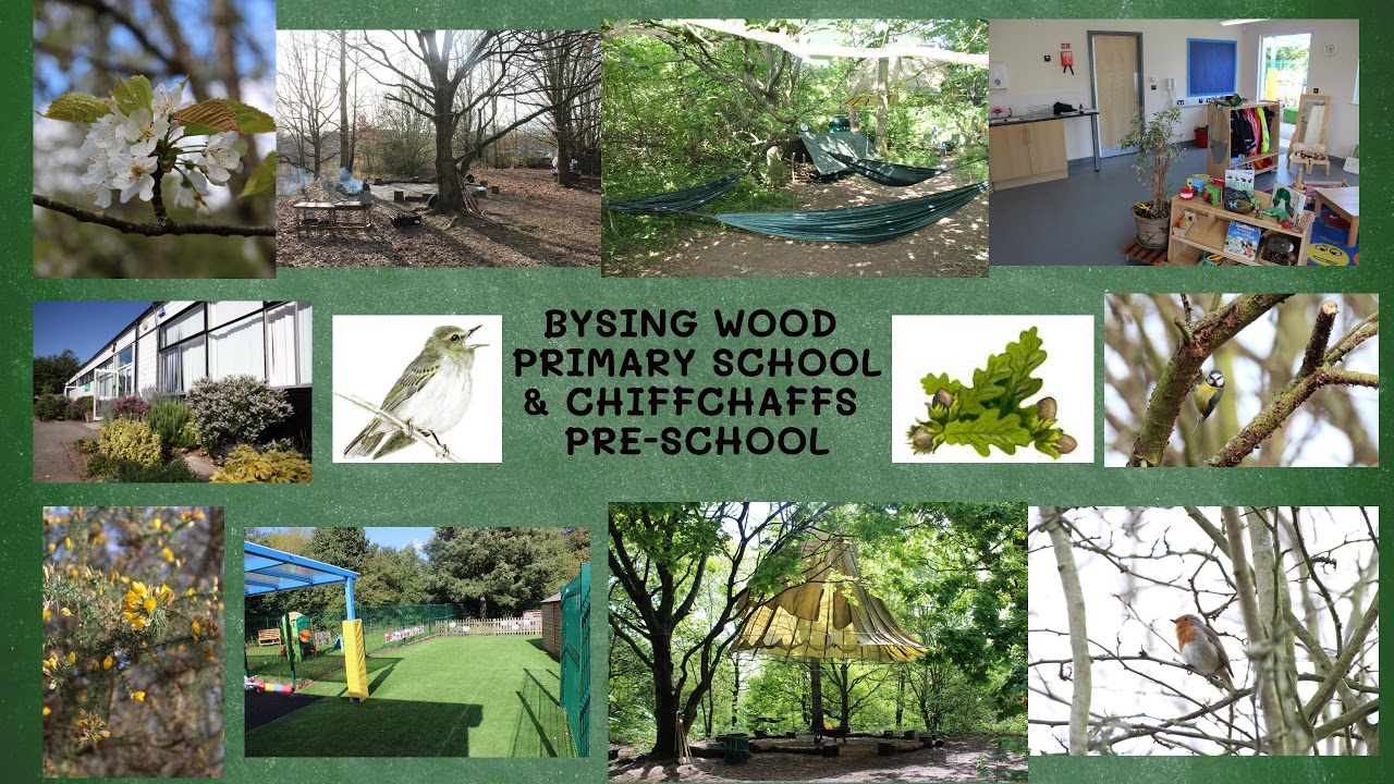 Bysing Wood Primary School Bird Box Live Stream - YouTube