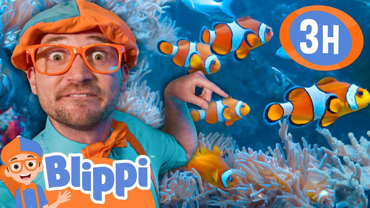 Blippi Explores The FISH PLAYGROUND! | Blippi and Meekah Best Friend ...
