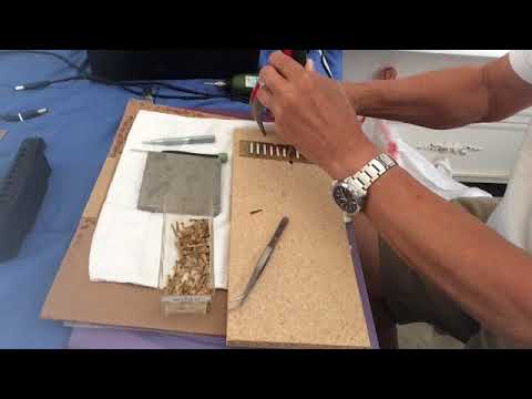 Replacing a Reed of a Chromatic Harmonica - YouTube
