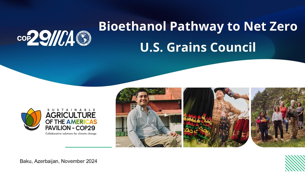 COP 29- 9 The Role of Liquid Biofuels in Decarbonizing the ...