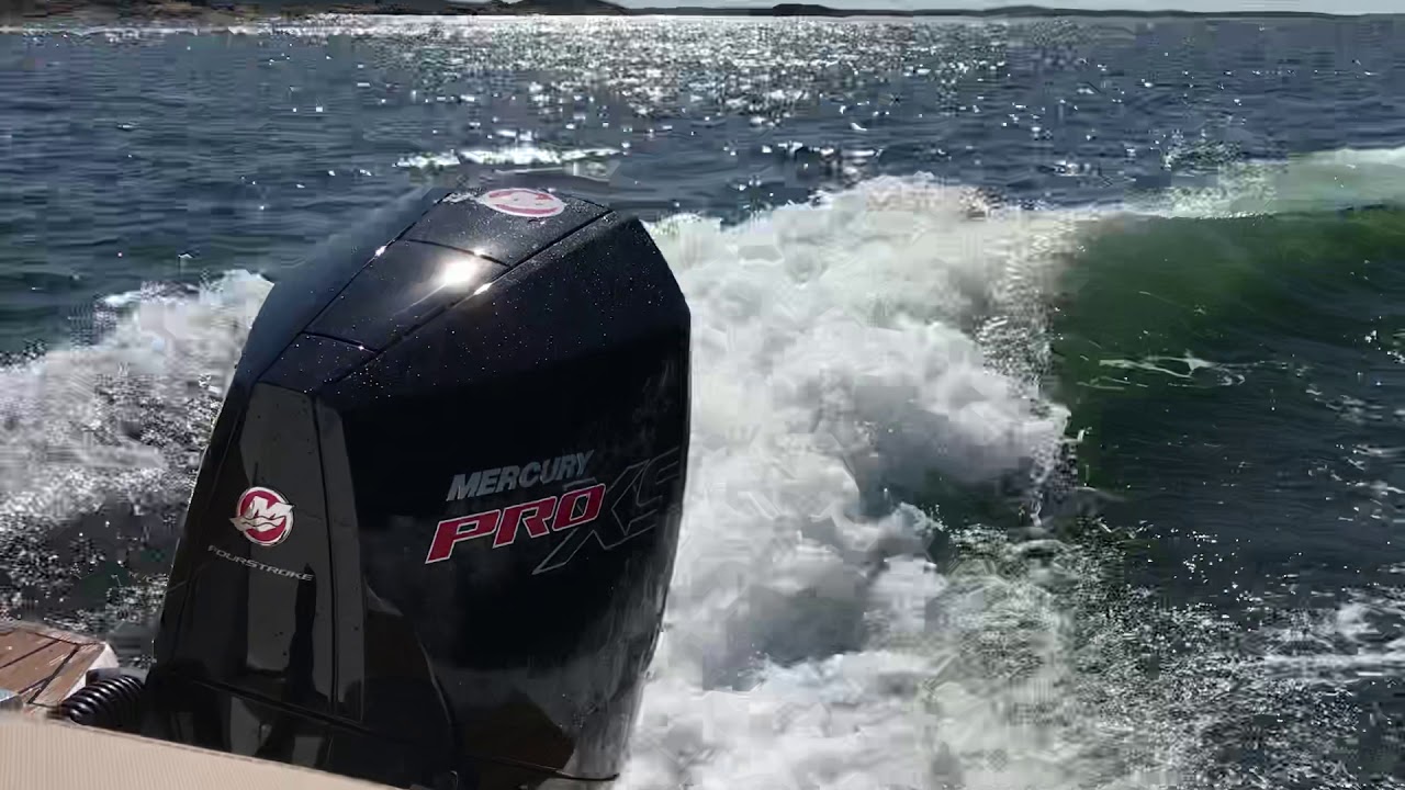 Mercury 200 PRO XS and Flipper 650dc - YouTube