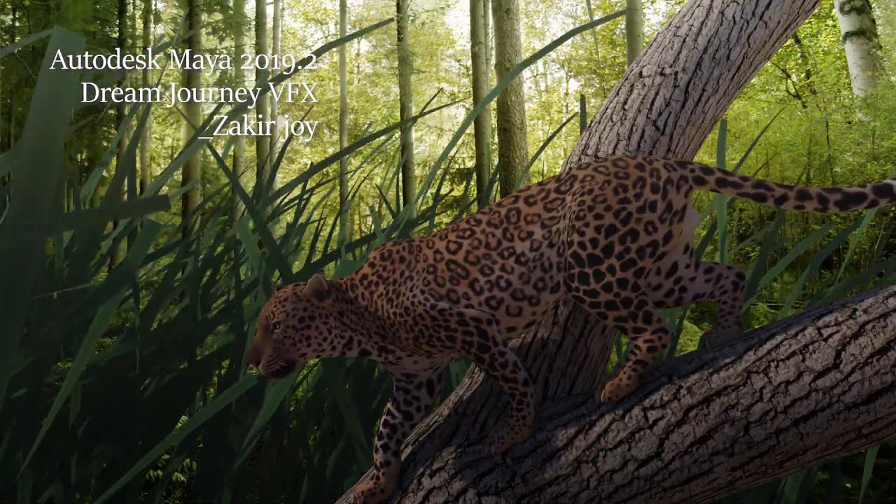 Leopard Tiger Animation in Autidesk Maya - YouTube