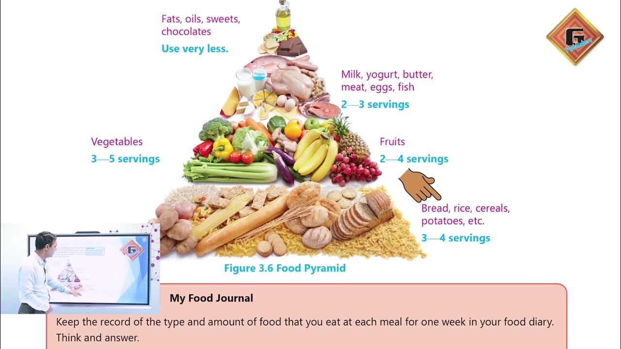 Gohar General Science 6|Unit 3|Lec 6|Food Pyramid - YouTube