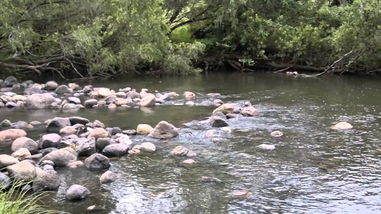 The Albert river at Darlington park - YouTube