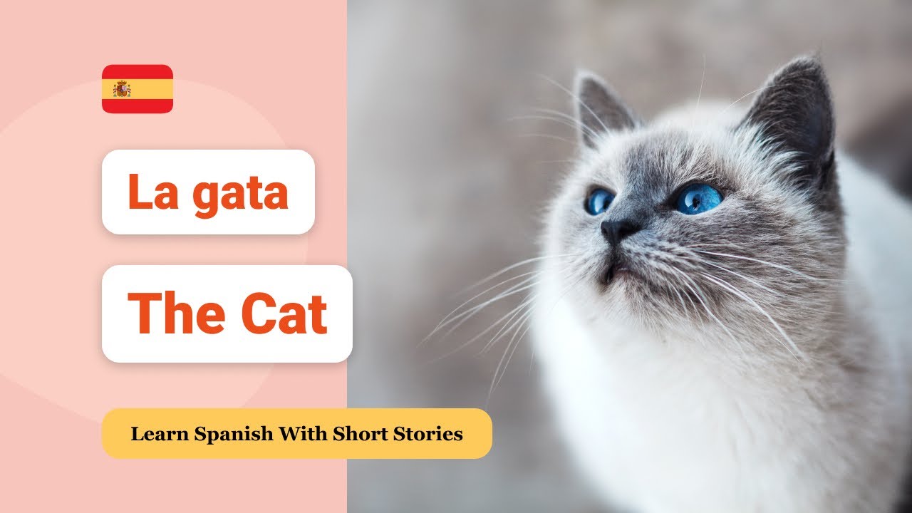 Practice Spanish With Short Stories - "La gata" (The Cat) - YouTube