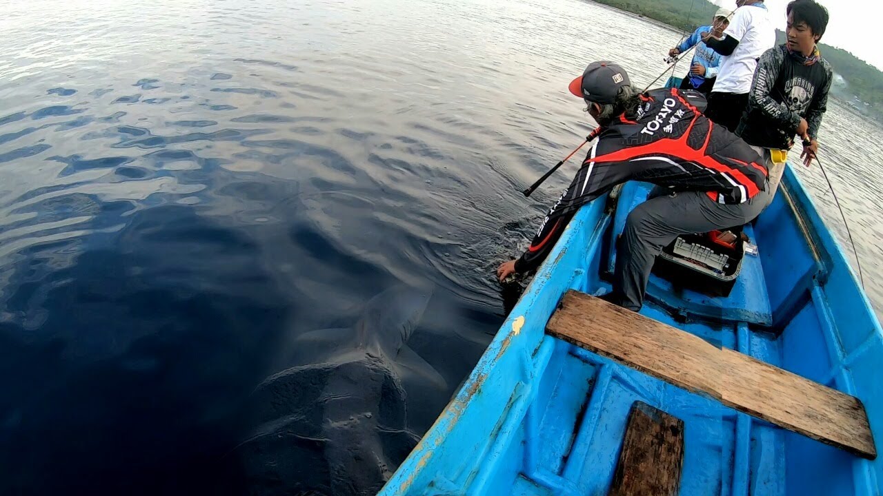 DAPAT BEGAL DARI PENGUASA LAUT PULAU SERAM ...MASOHI MALUKU TENGAH ...