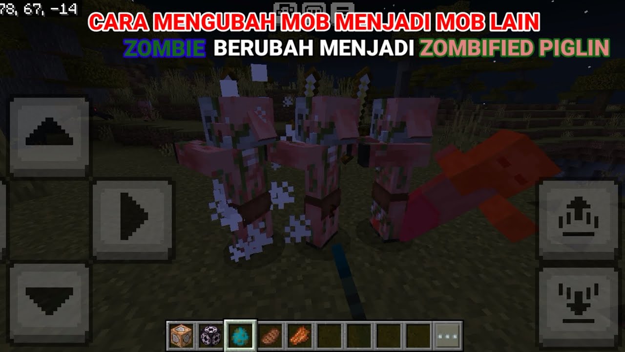 Cara Mengubah Mob Menjadi Mob Lain Di Minecraft - YouTube