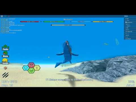 DINOSAUR SIMULATOR ROBLOX GAMEPLAY (MOSASAURUS LIFE) - YouTube