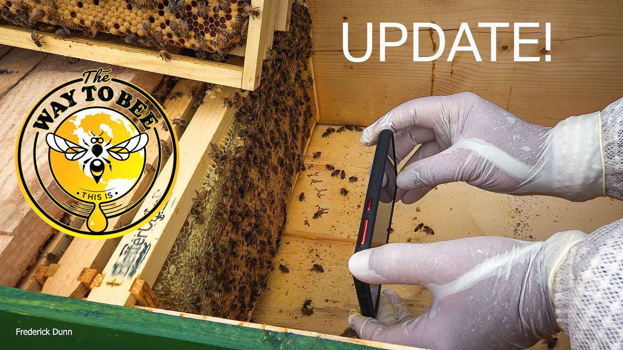 Horizontal Long Langstroth Hive UPDATE and BeeScanning APP Review ...