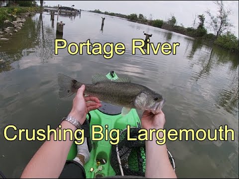 Catching Big Largemouth on the Portage River - YouTube
