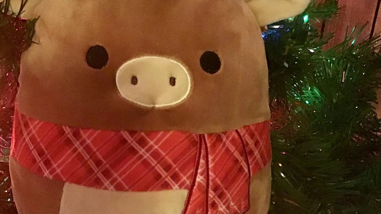 Merry Squishmas! #squishmas #squishmallows - YouTube
