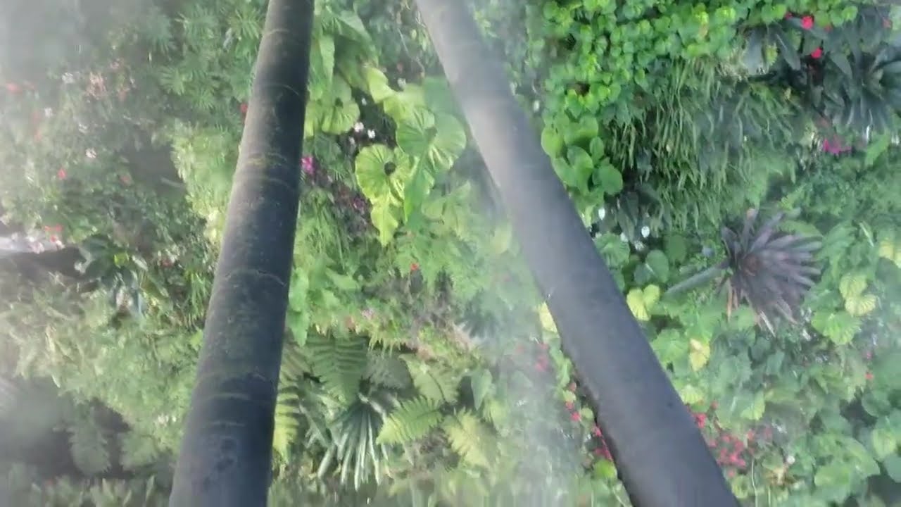 Cloud Forest, Singapore Gardens by the Bay, Misting Time , January 2019 ...