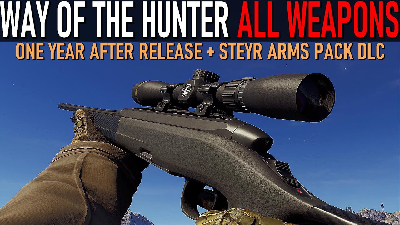 Way Of The Hunter - All Weapons [One Year After Release + Steyr Arms ...