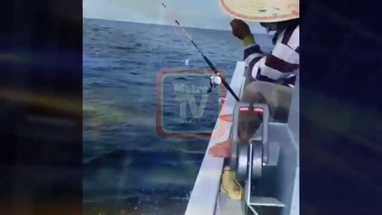 Yu Paus 6 meter gempar pemancing - YouTube