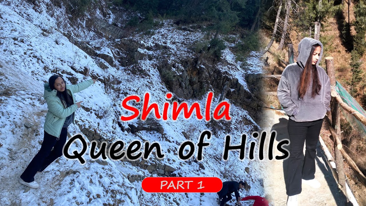 New year celebration in Shimla | Queen of Hills | #himachal #Shimla # ...