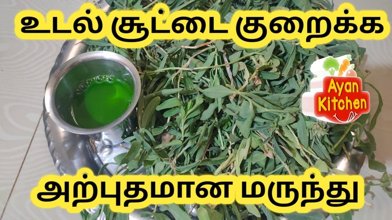 Udal soodu kuraiya tips in tamil | Naturally reduce body heat tamil | ayan kitchen - YouTube